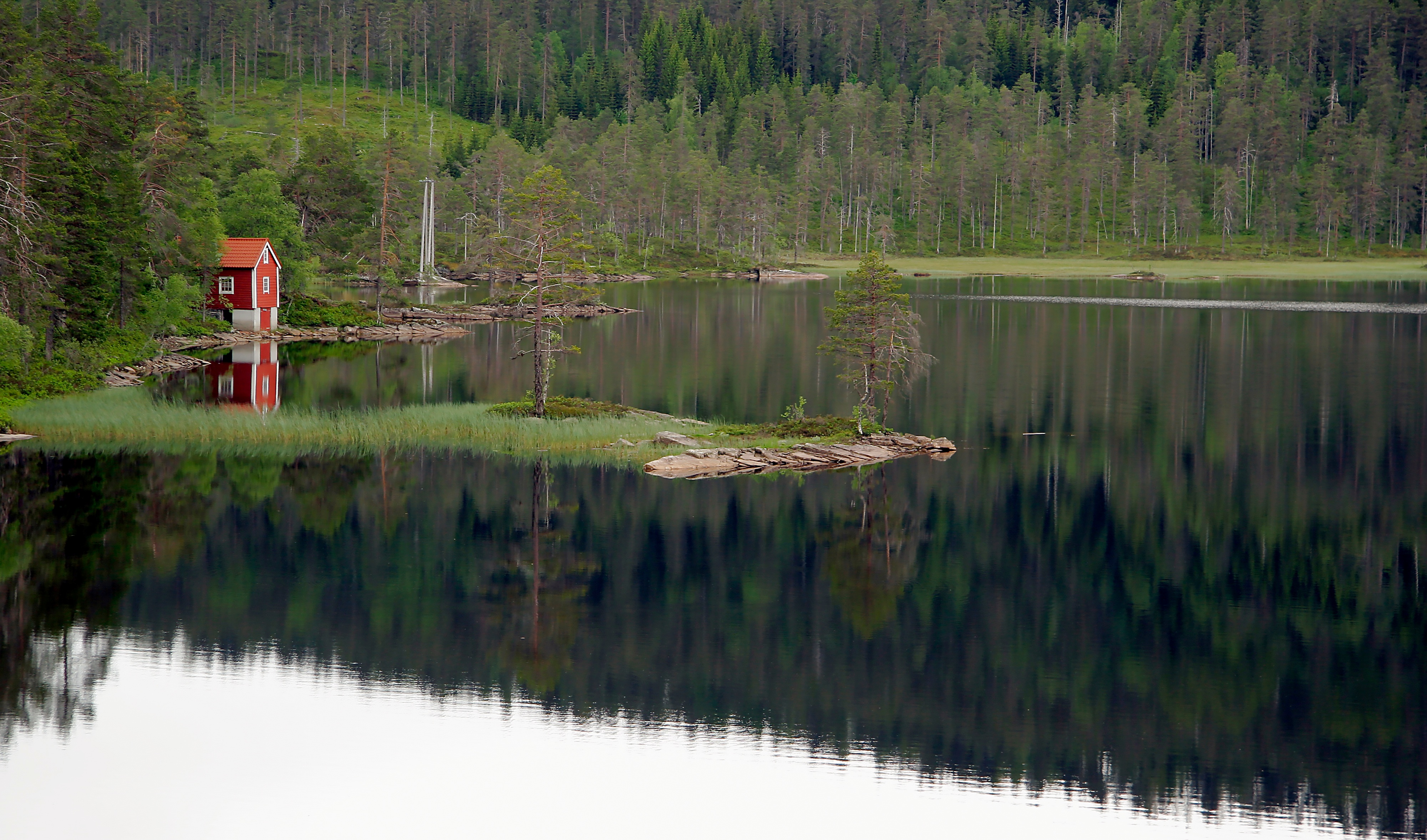 Norway - The First Country In The World To Stop Deforestation