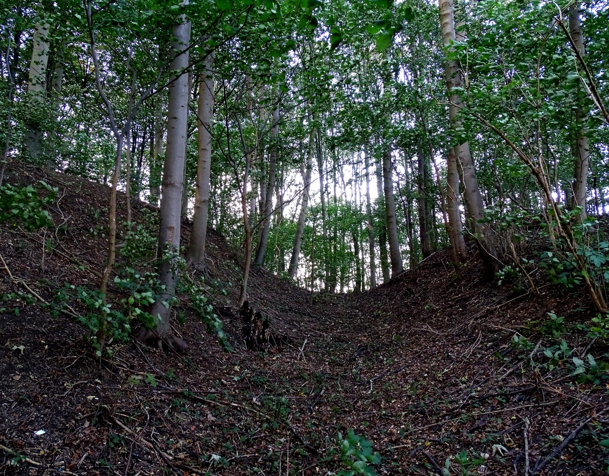 New Viking Age Ring-Shaped Fortress Discovered In Denmark